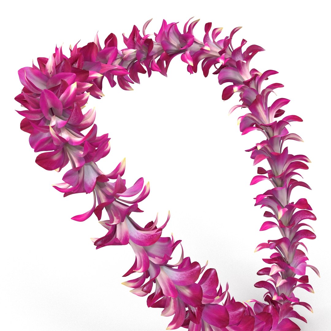 Hawaiian Lei 2 3d Model