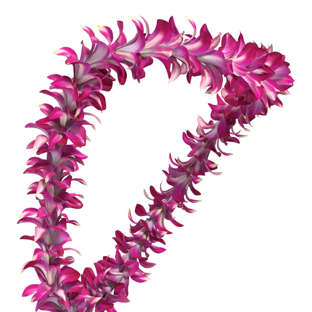 Hawaiian Lei 2 3d Model