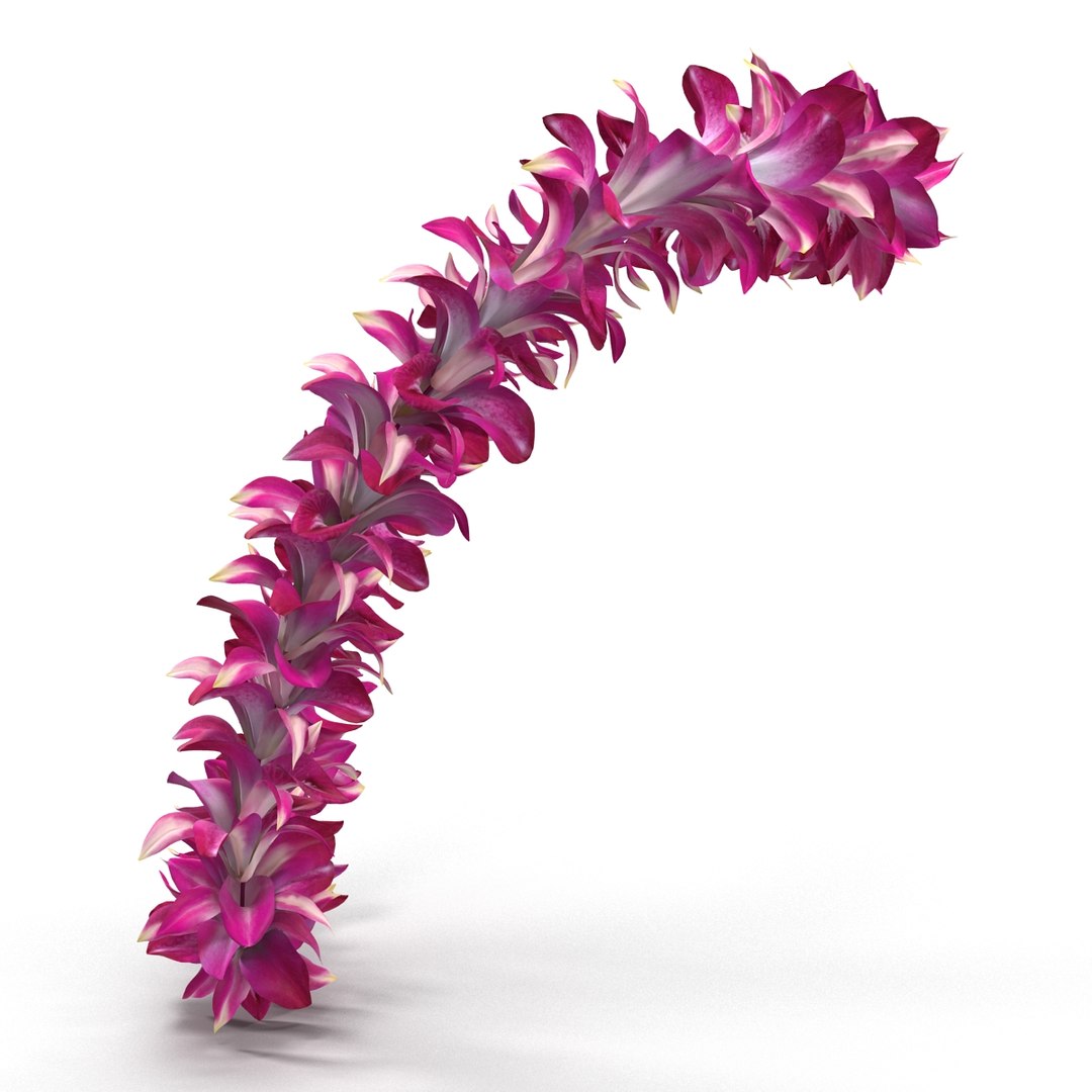 Hawaiian Lei 2 3d Model