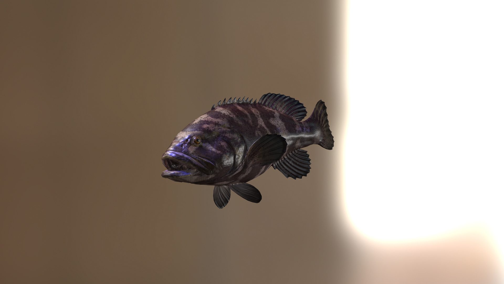 3D Coral Fish Goby Epinephelinae Epinephelus Bruneus - TurboSquid 2156836