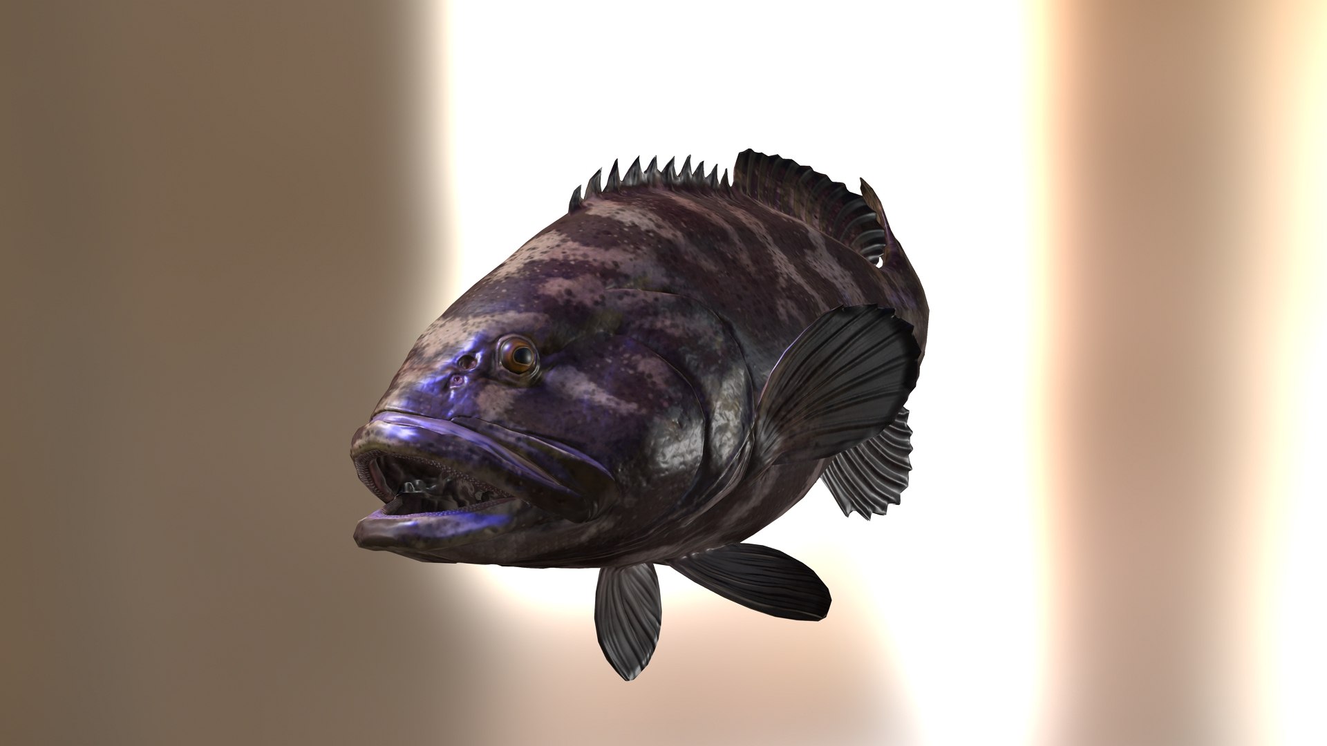 3D Coral Fish Goby Epinephelinae Epinephelus Bruneus - TurboSquid 2156836