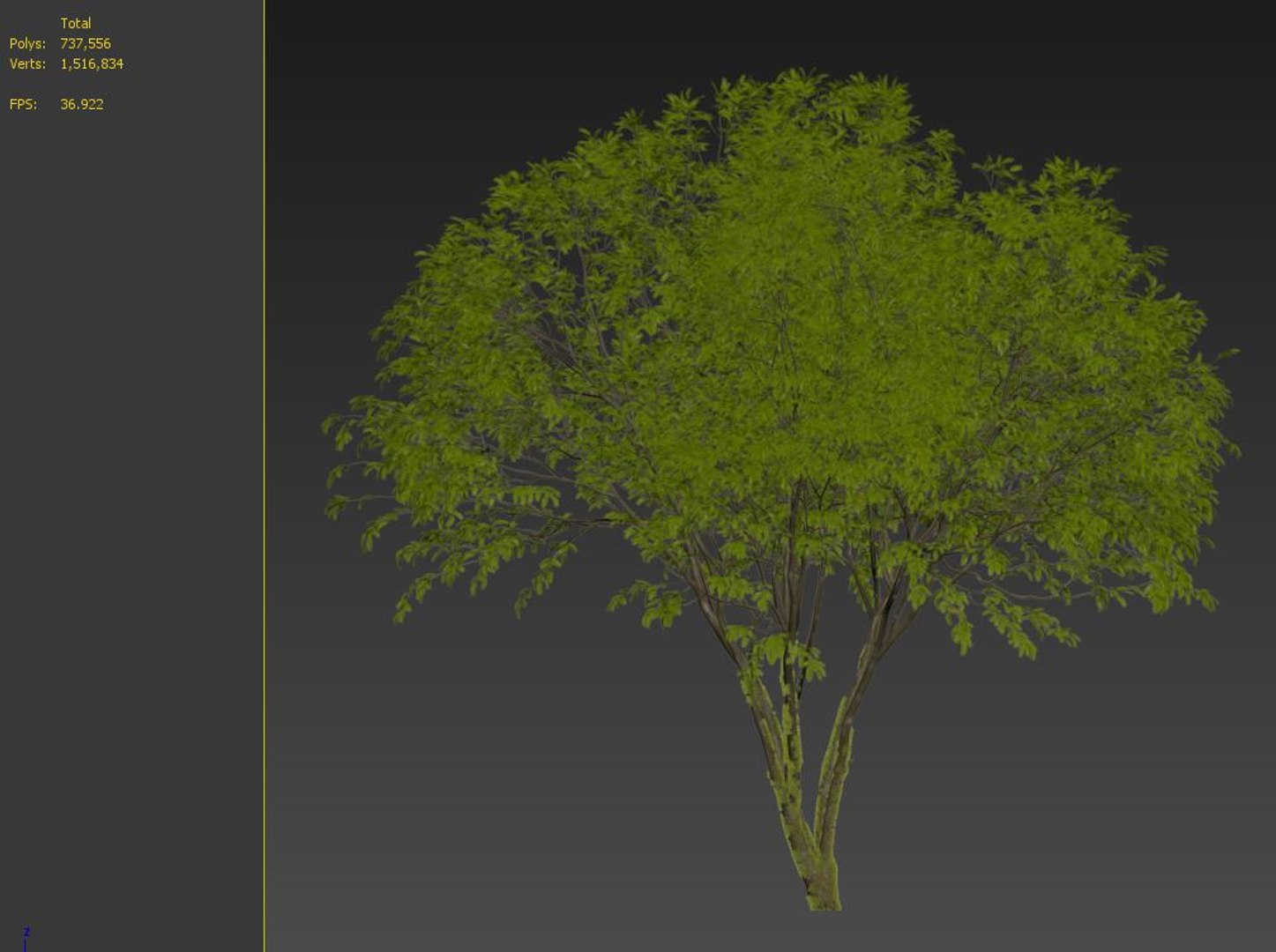 3D Model Chinese Fringe - TurboSquid 1937766