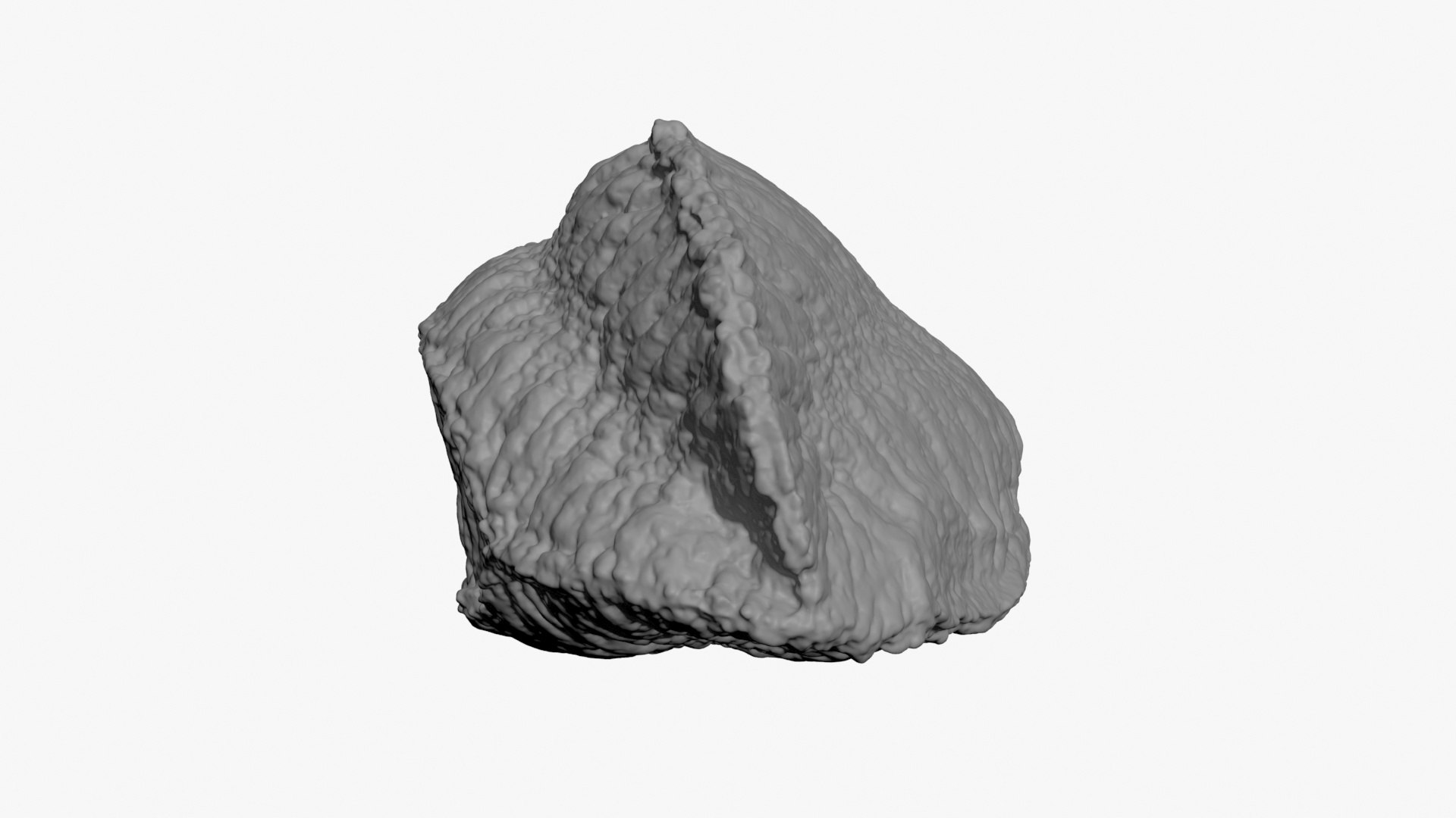 3D Brazil Nut In Shell 02 3D Print - TurboSquid 2286416
