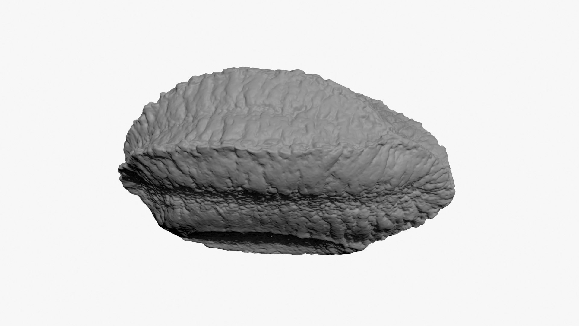 3D Brazil Nut In Shell 02 3D Print - TurboSquid 2286416