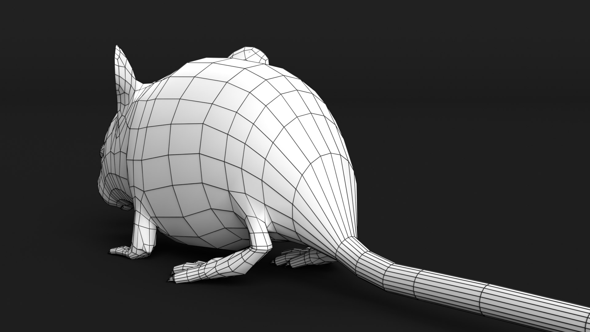 Mouse Animal Mammal Model - TurboSquid 1673928