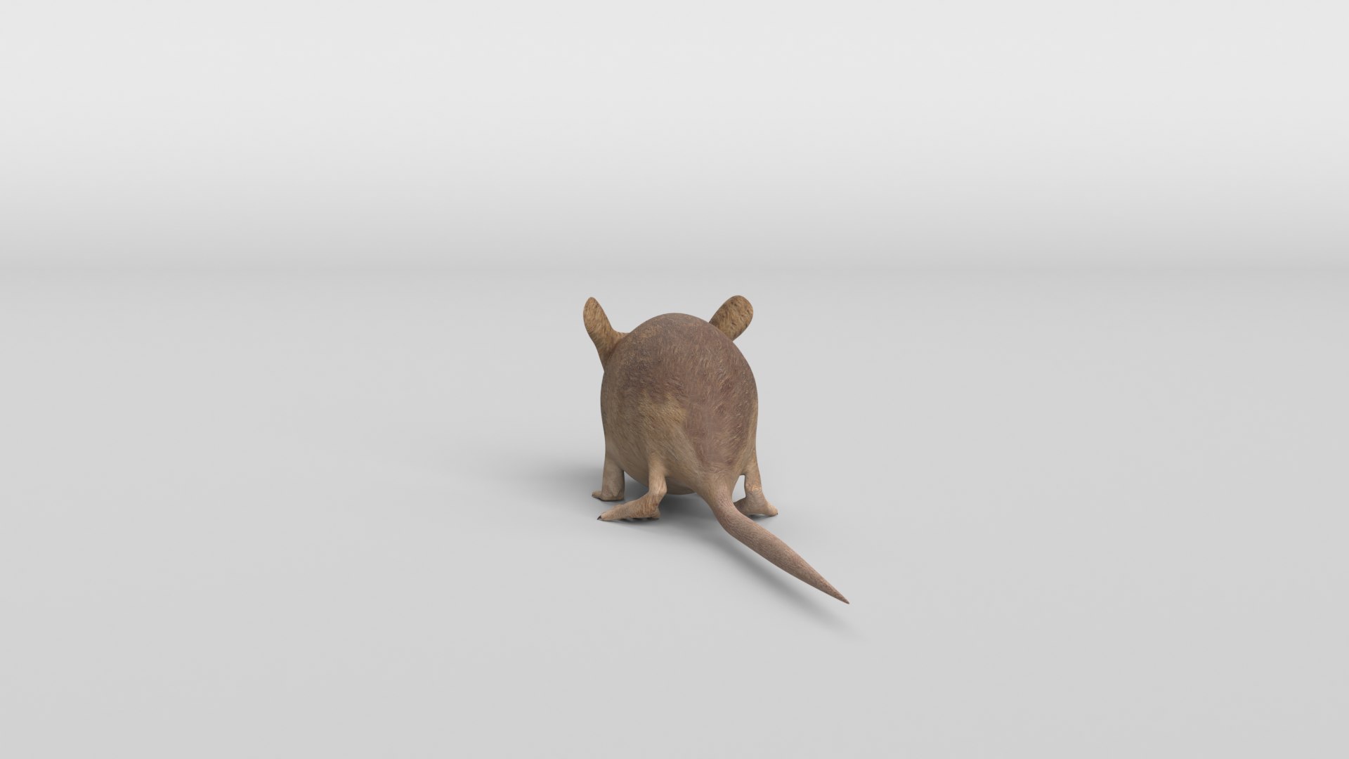 Mouse Animal Mammal Model - TurboSquid 1673928