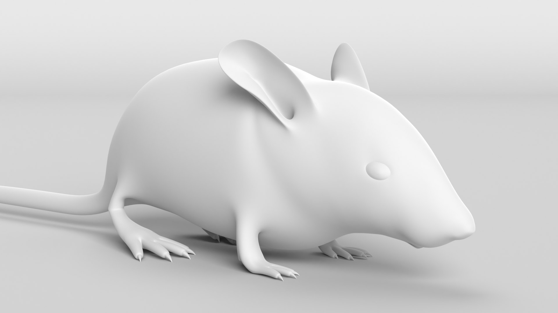 Mouse Animal Mammal Model - TurboSquid 1673928