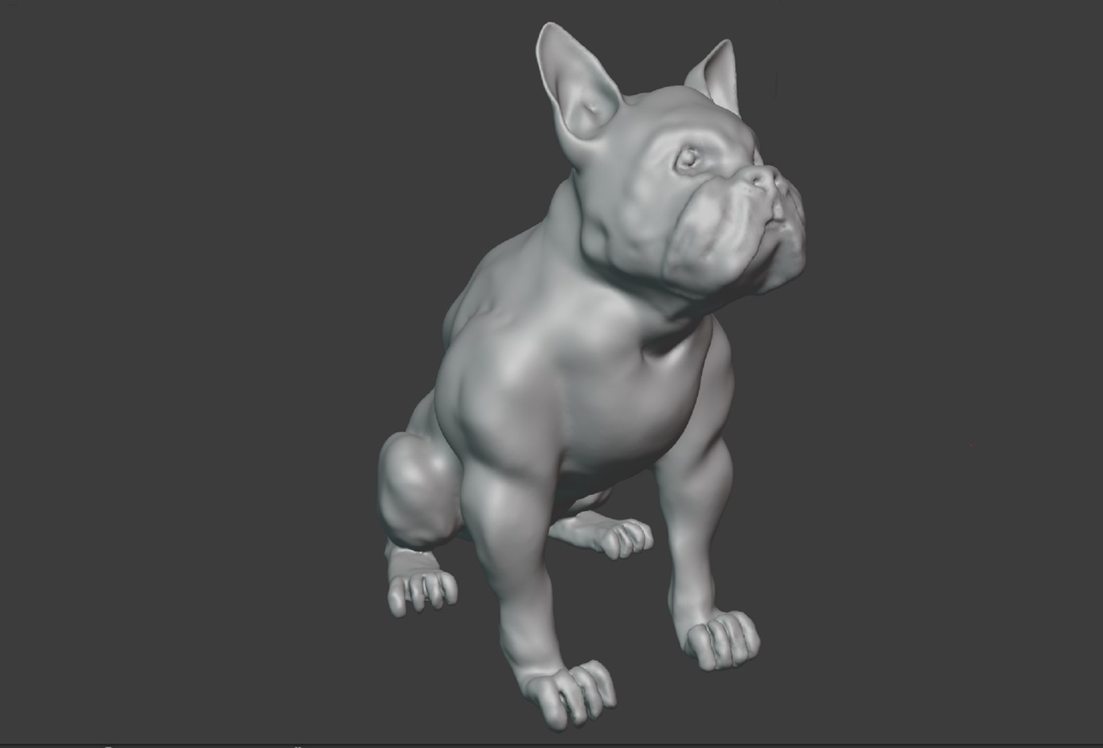 3D Model Bulldog Blender - TurboSquid 1691250