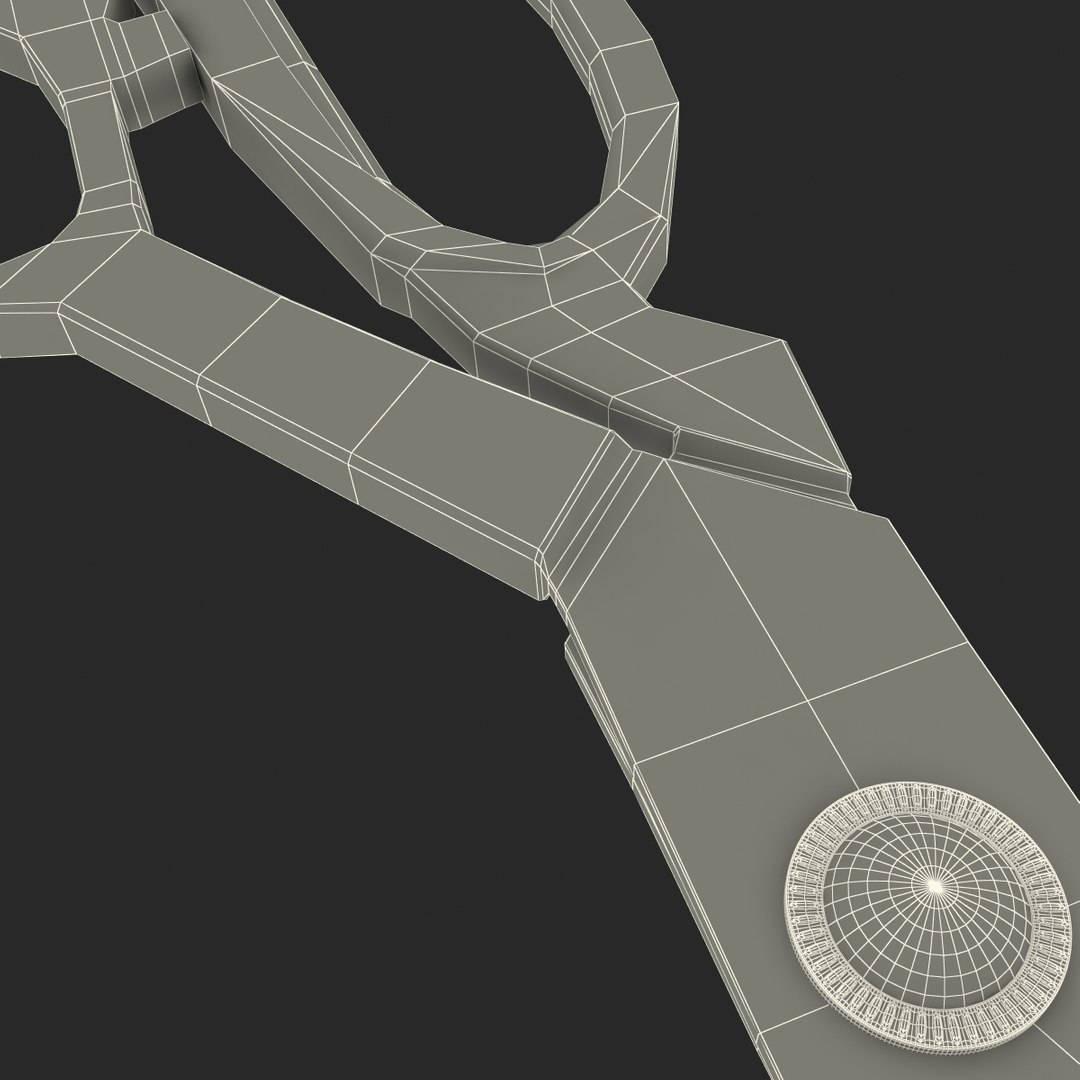 3d Scissors Tailor Medical Model