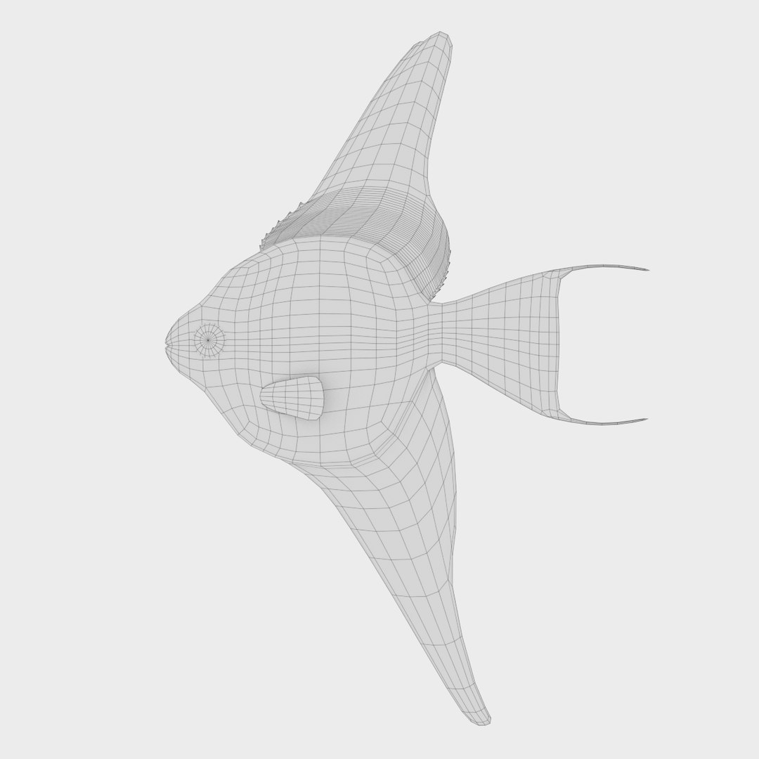 3D Sunfish - TurboSquid 1196864