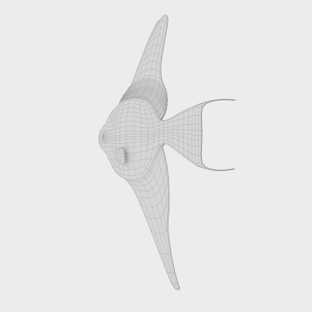 3D Sunfish - TurboSquid 1196864