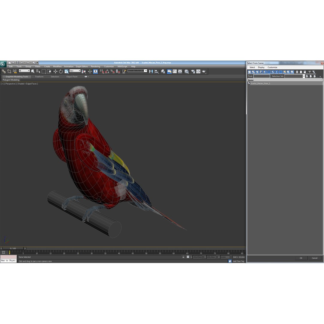 3dsmax scarlet macaw pose 2