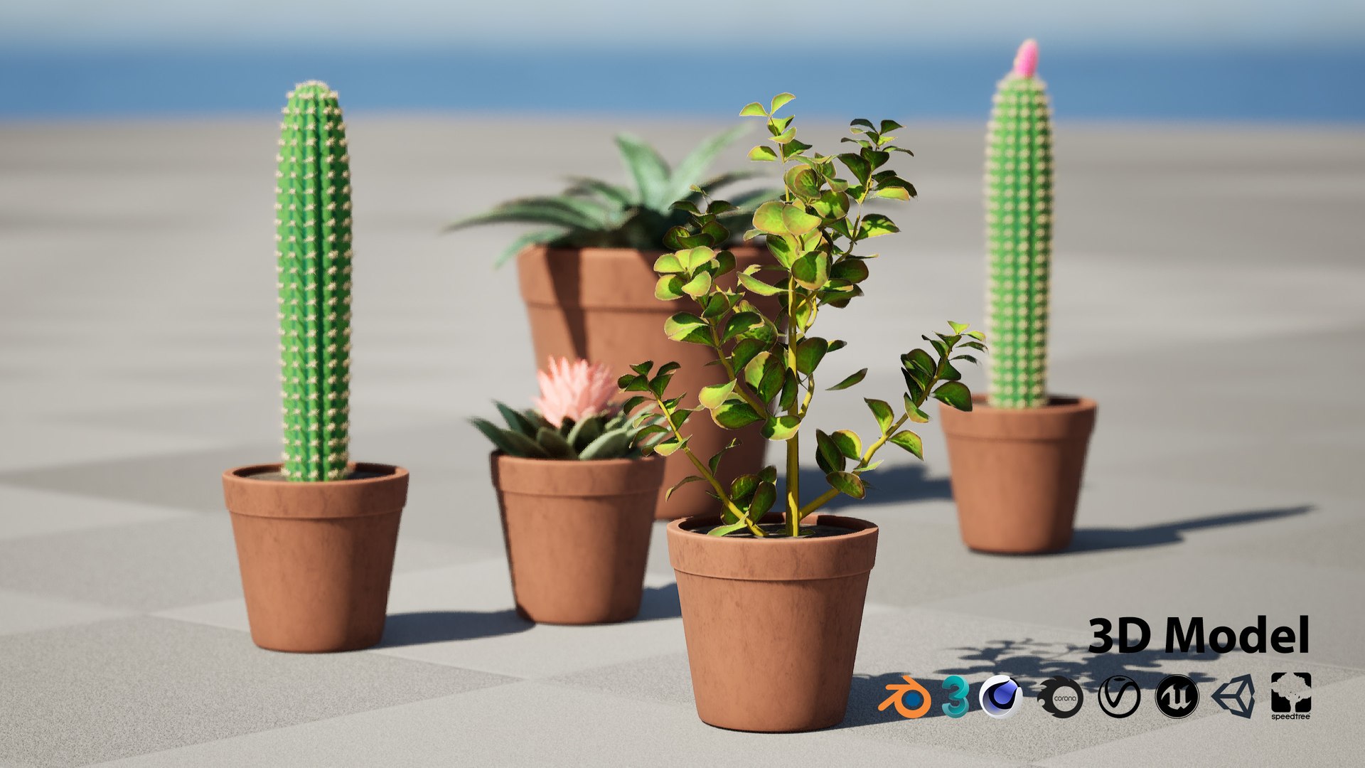 Desert In A Pot: 3D Cacti Models 3D Model - TurboSquid 2242780