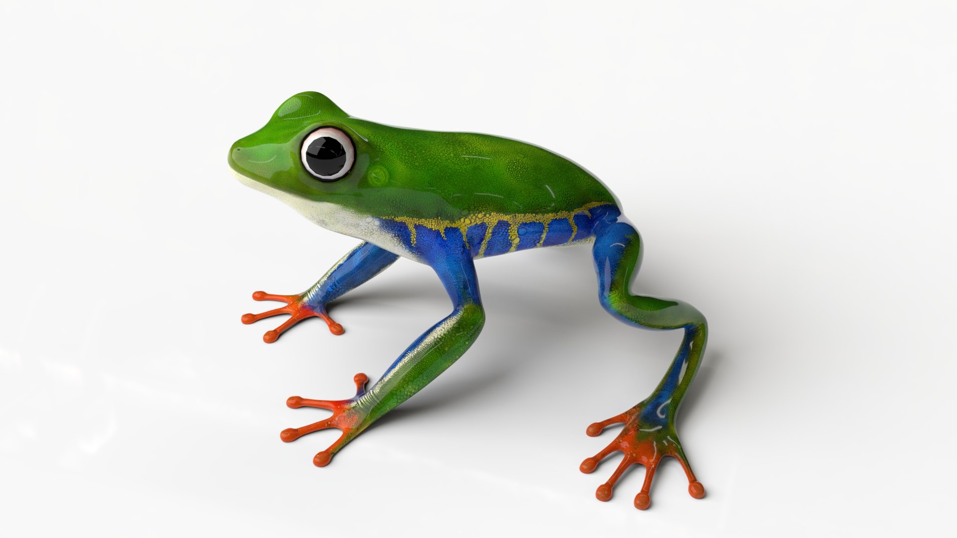 Green Frog Rigged 3D Model - TurboSquid 1714291