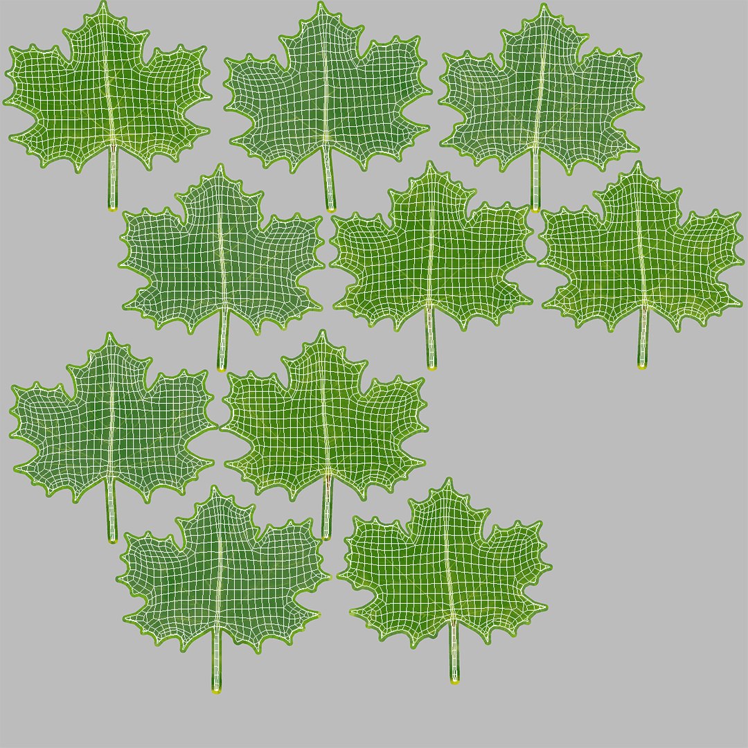 3D Green Maple Leaves Model - TurboSquid 2185740