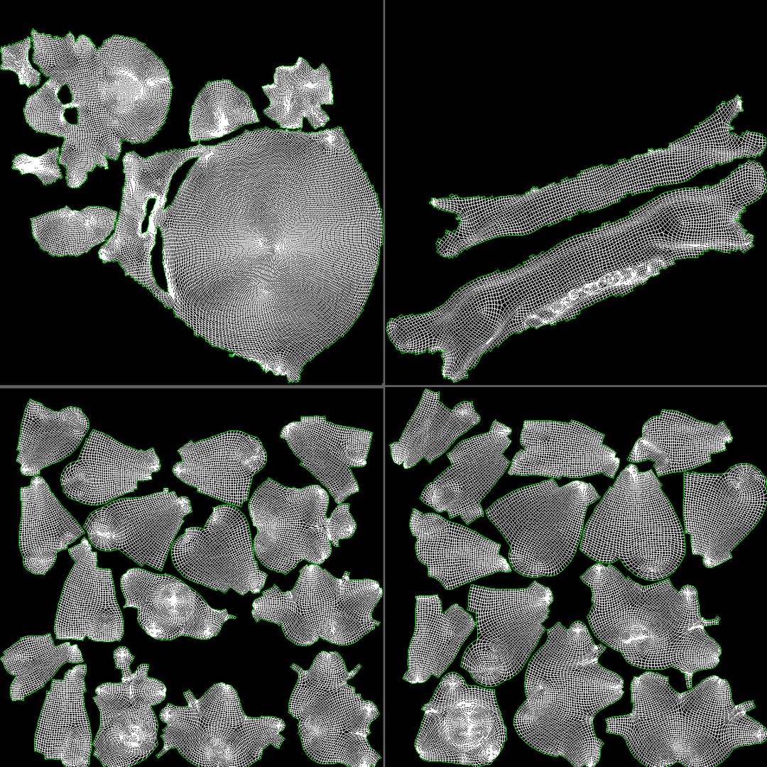 3d caucasoid female skull model