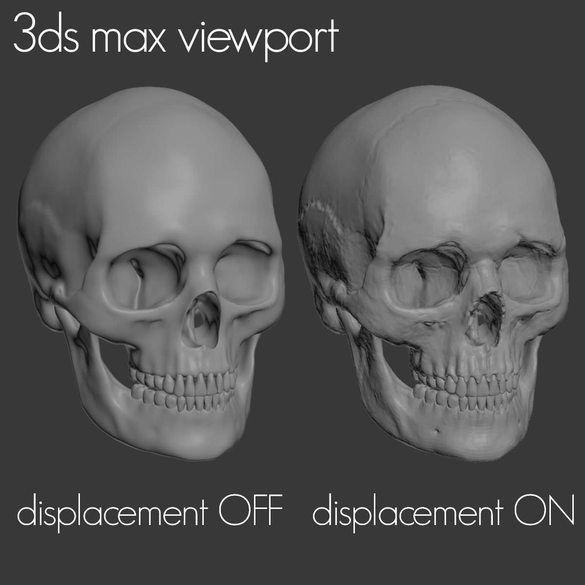 3d caucasoid female skull model