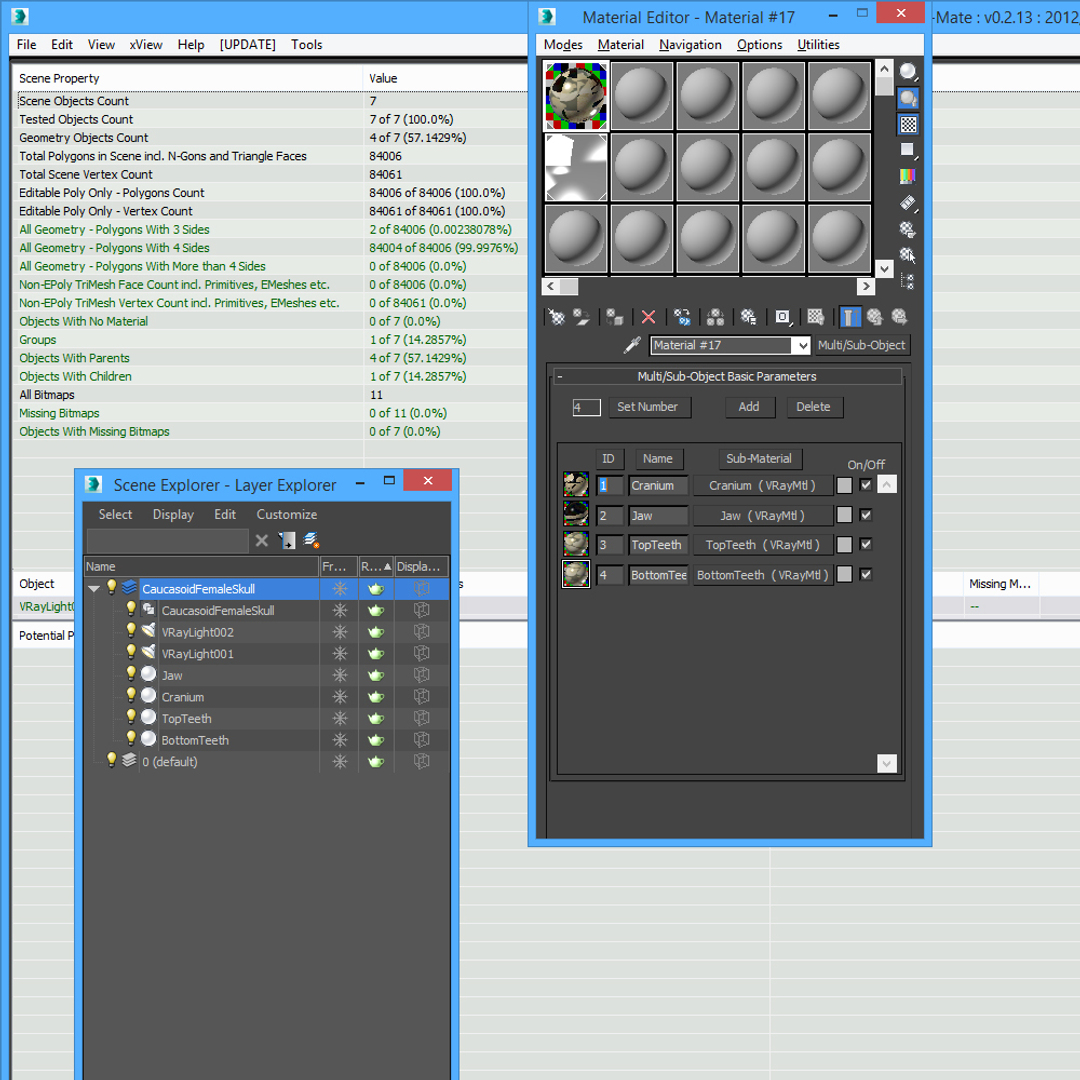 3d caucasoid female skull model