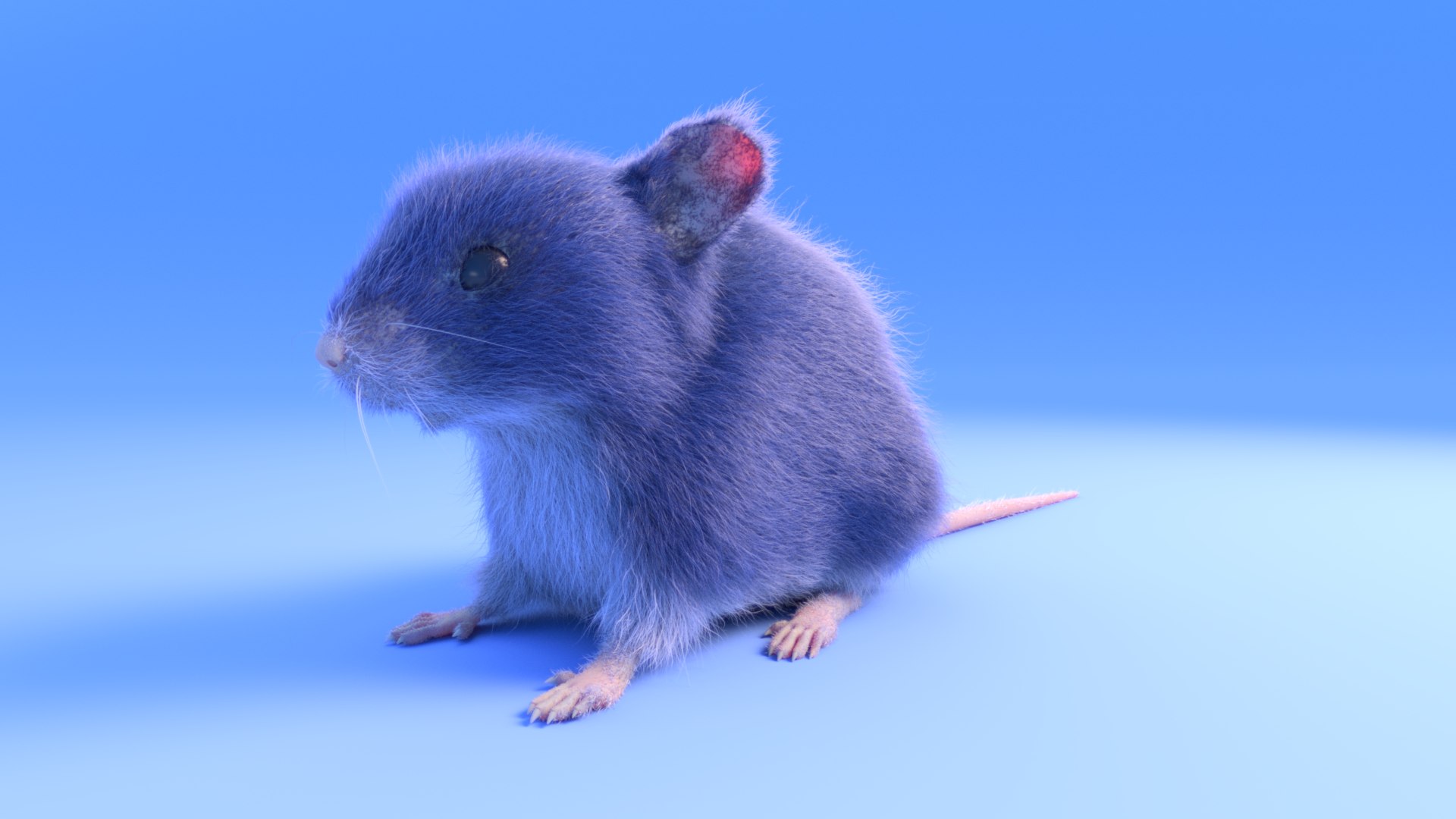 Realistic Mouse - Fur Color 3D Model - TurboSquid 1318263