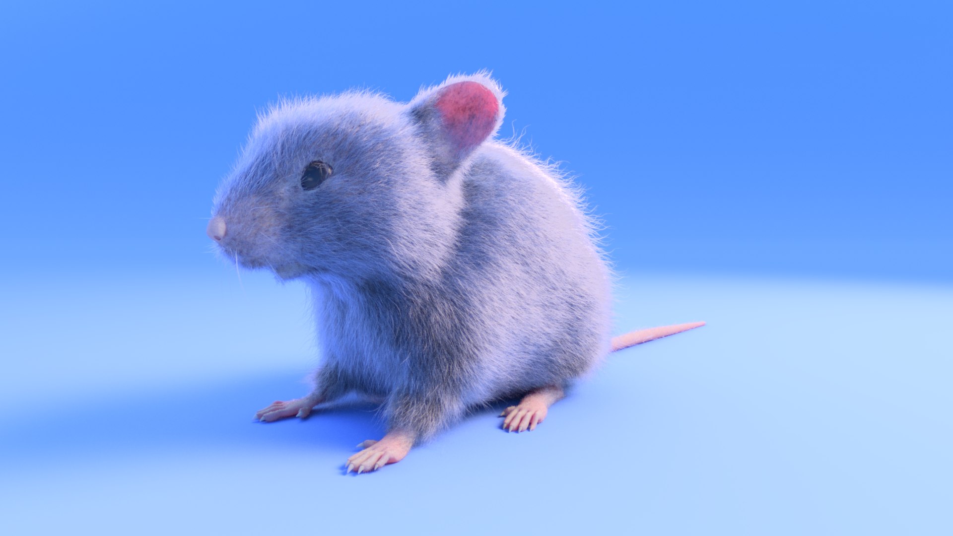 Realistic Mouse - Fur Color 3D Model - TurboSquid 1318263