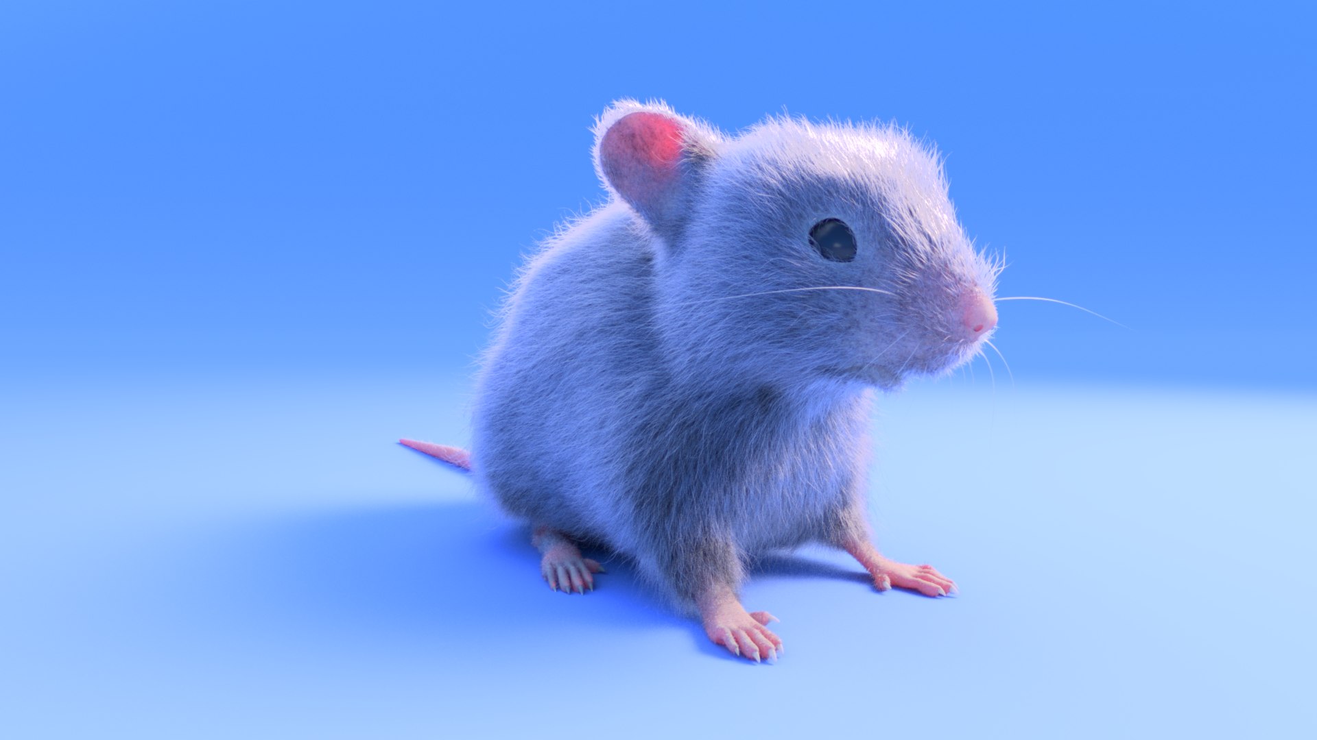 Realistic Mouse - Fur Color 3D Model - TurboSquid 1318263