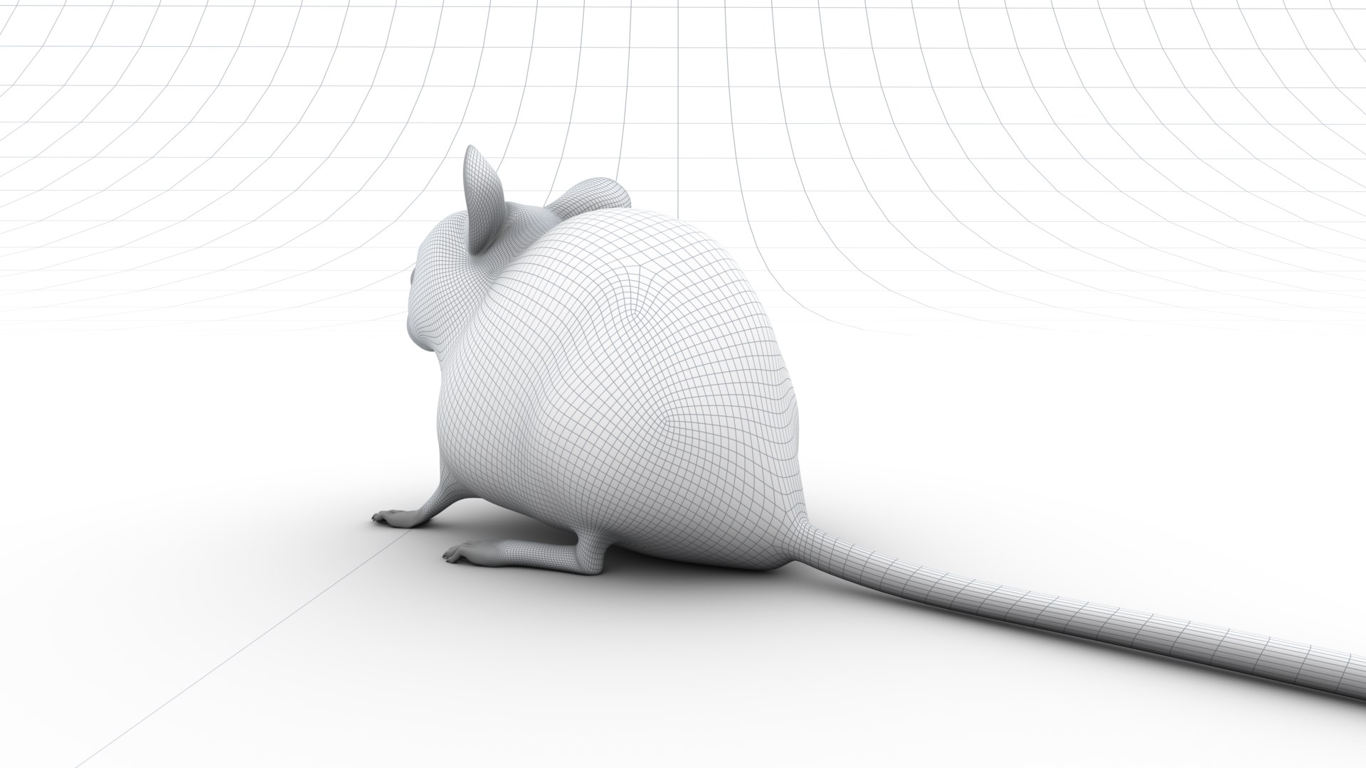 Realistic Mouse - Fur Color 3D Model - TurboSquid 1318263