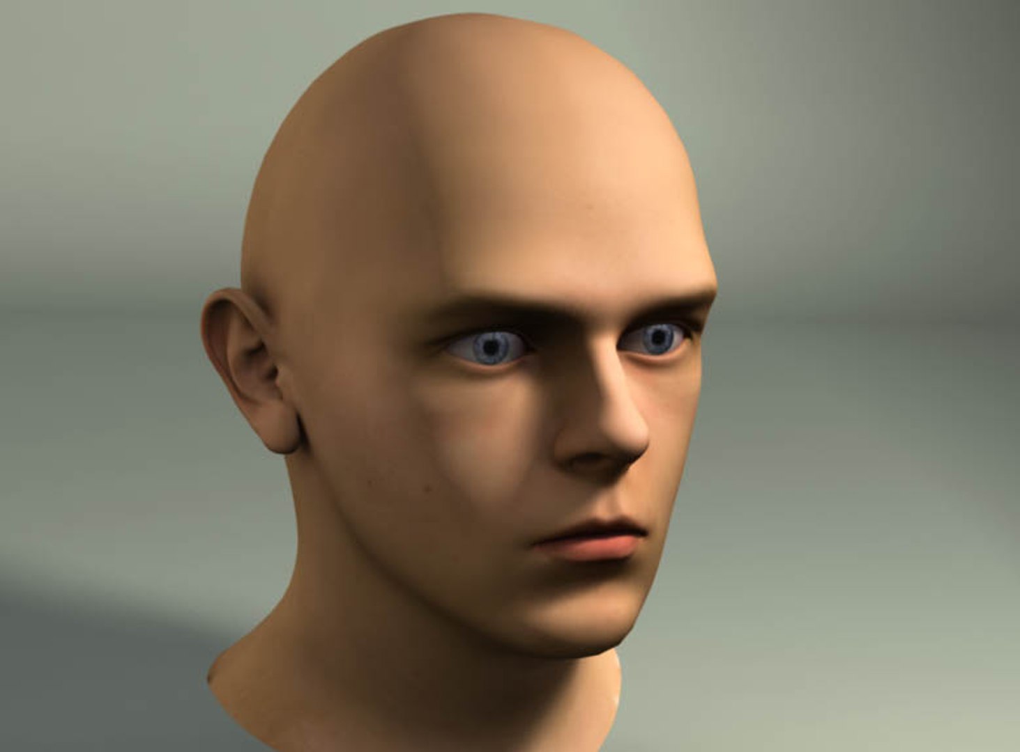 Male Head Man Face 3d 3ds