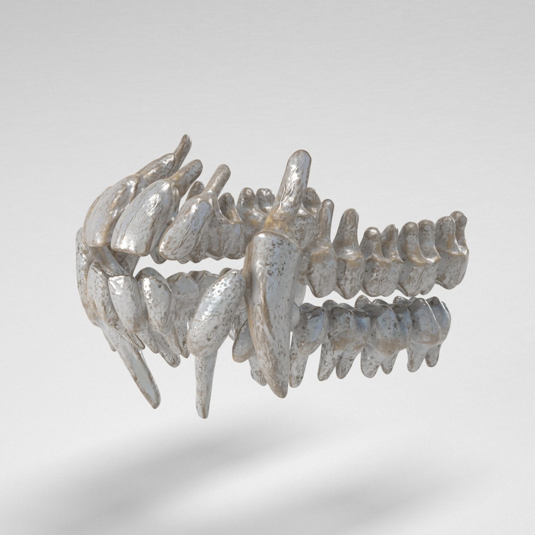 Gibbon Skull 3D Model - TurboSquid 1291444