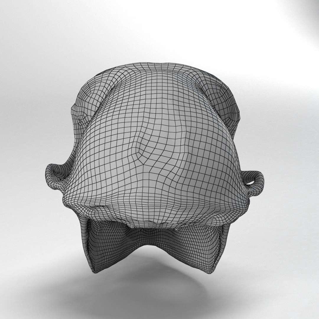 Gibbon Skull 3D Model - TurboSquid 1291444