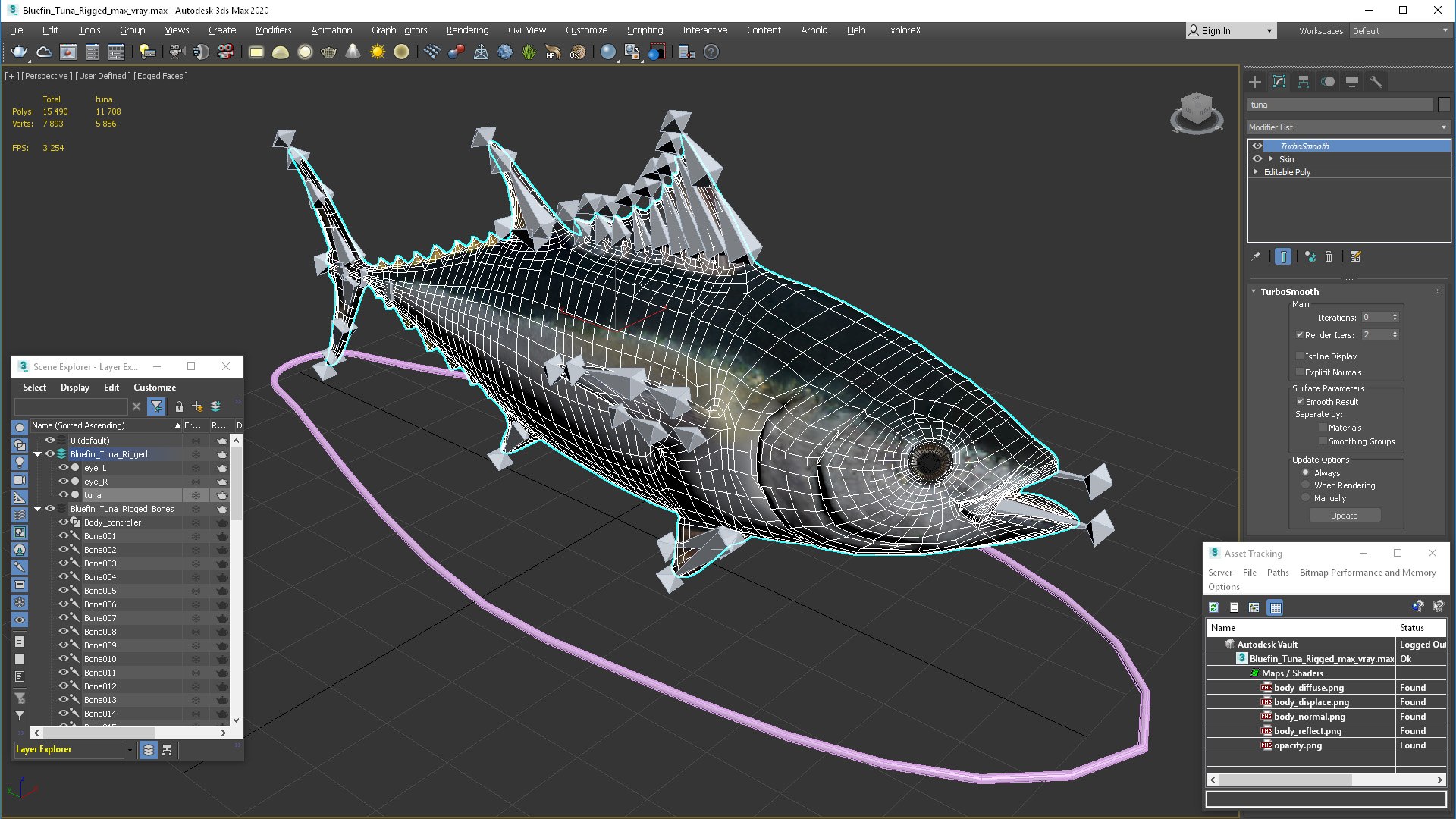 3D Bluefin Tuna Rigged Model - TurboSquid 2354640