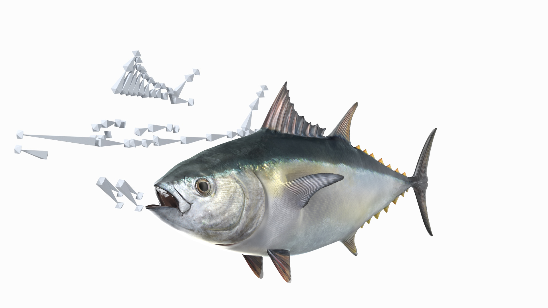 3D Bluefin Tuna Rigged Model - TurboSquid 2354640
