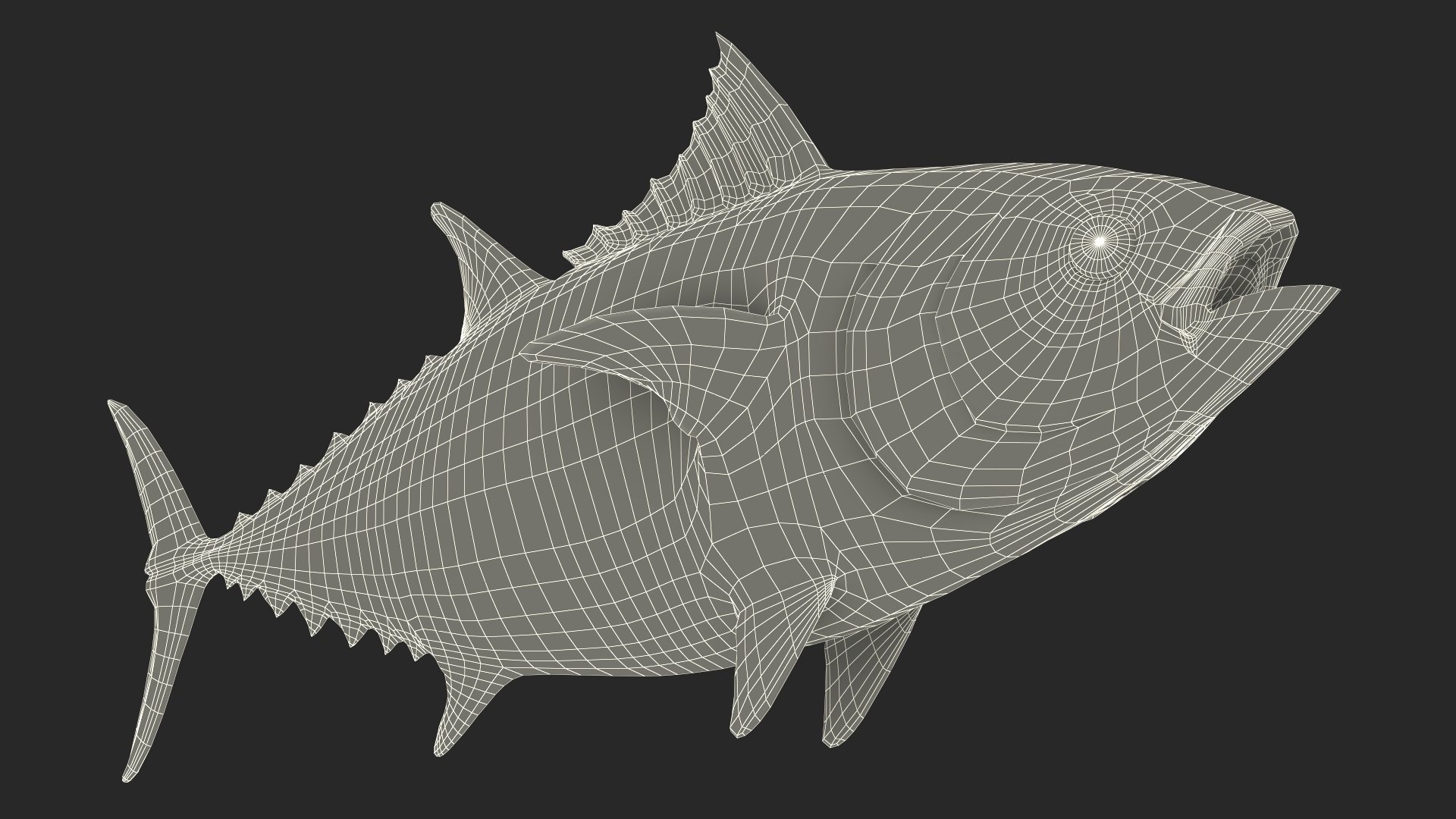 3D Bluefin Tuna Rigged Model - TurboSquid 2354640