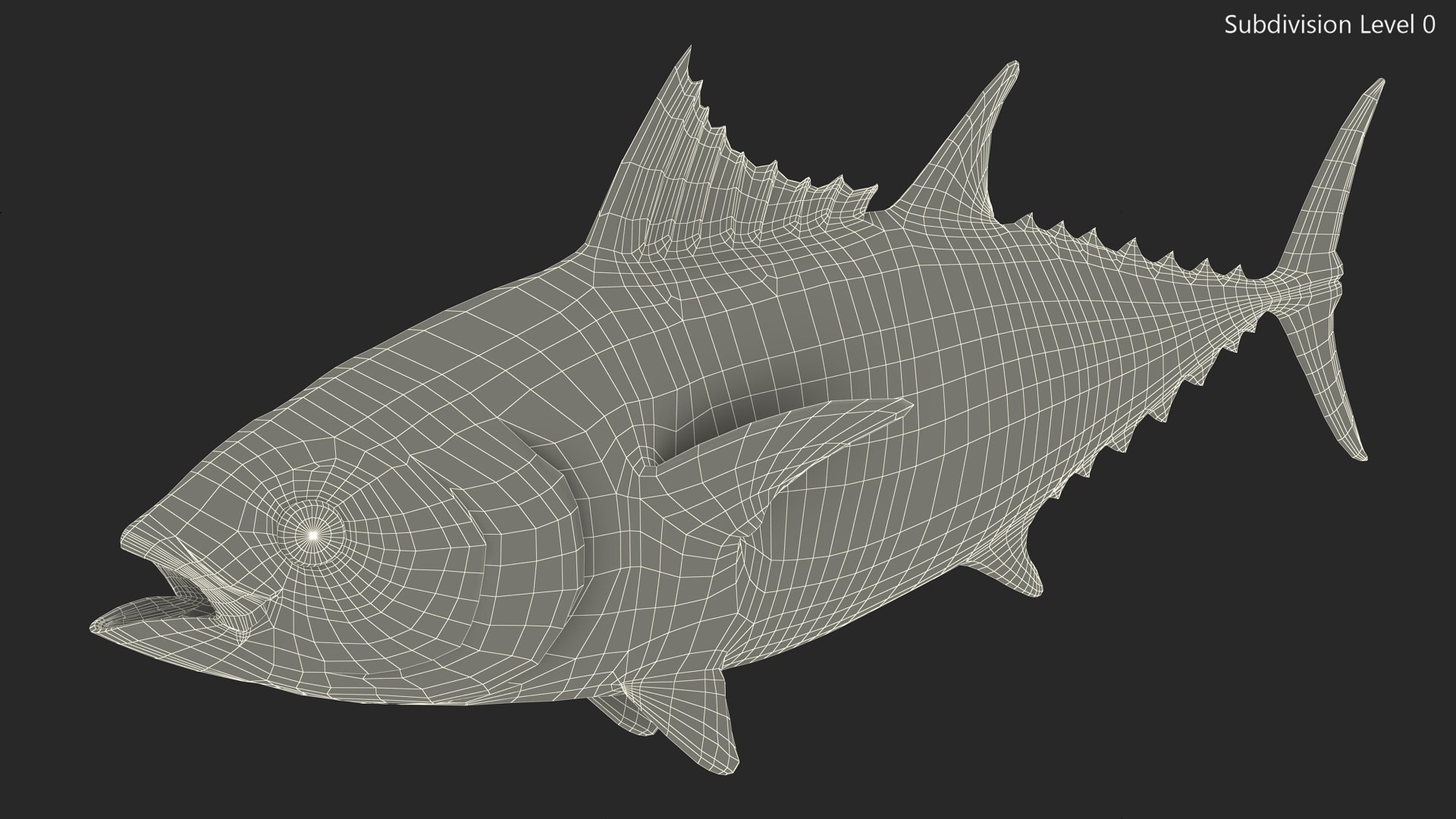 3D Bluefin Tuna Rigged Model - TurboSquid 2354640