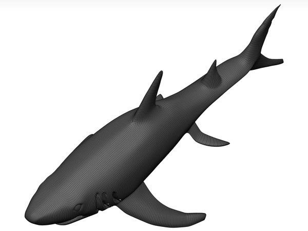 Weißer Hai Stl 3D-Modell - TurboSquid 1774246