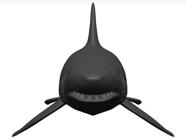 Weißer Hai Stl 3D-Modell - TurboSquid 1774246