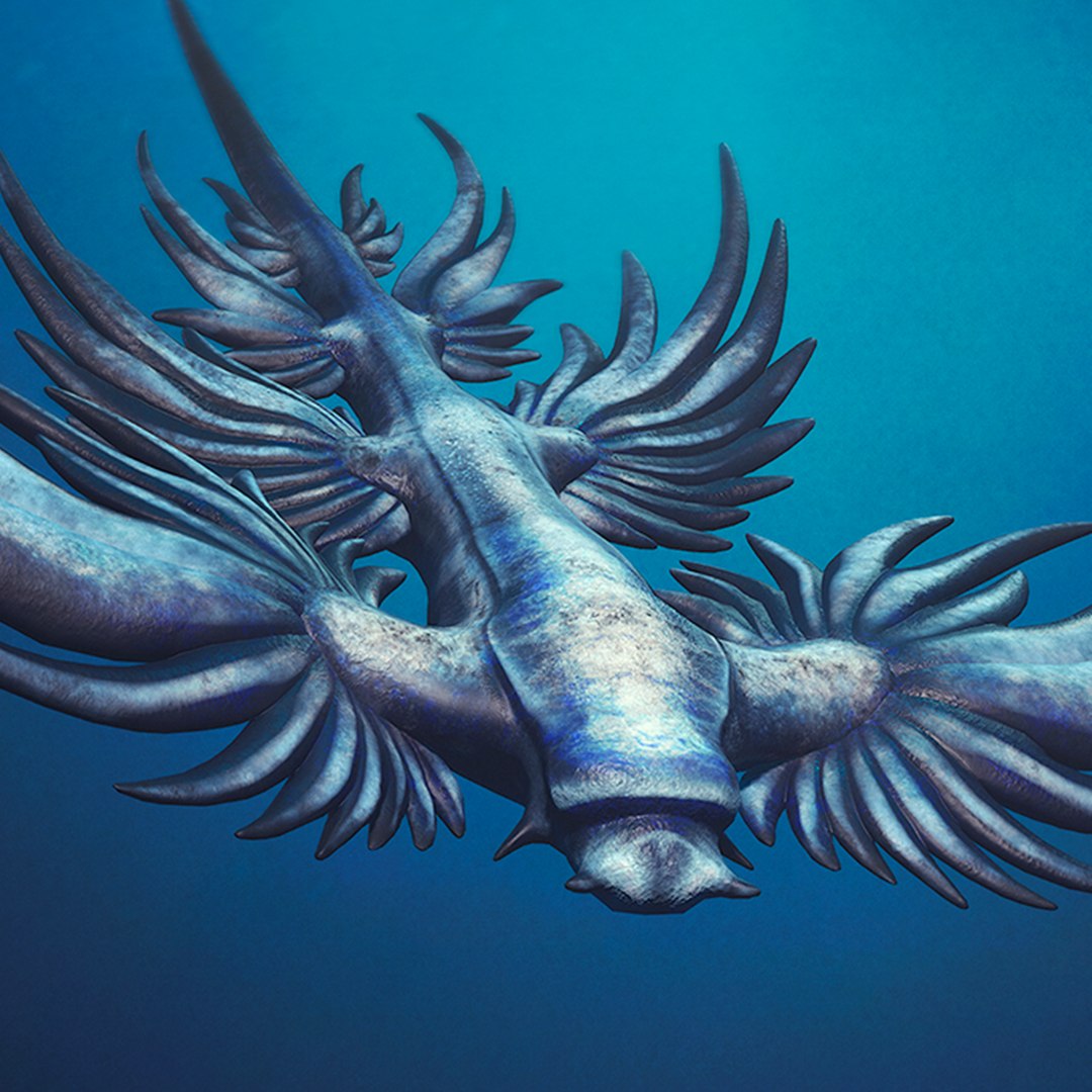 Sea Blue Dragon Model - TurboSquid 2246013