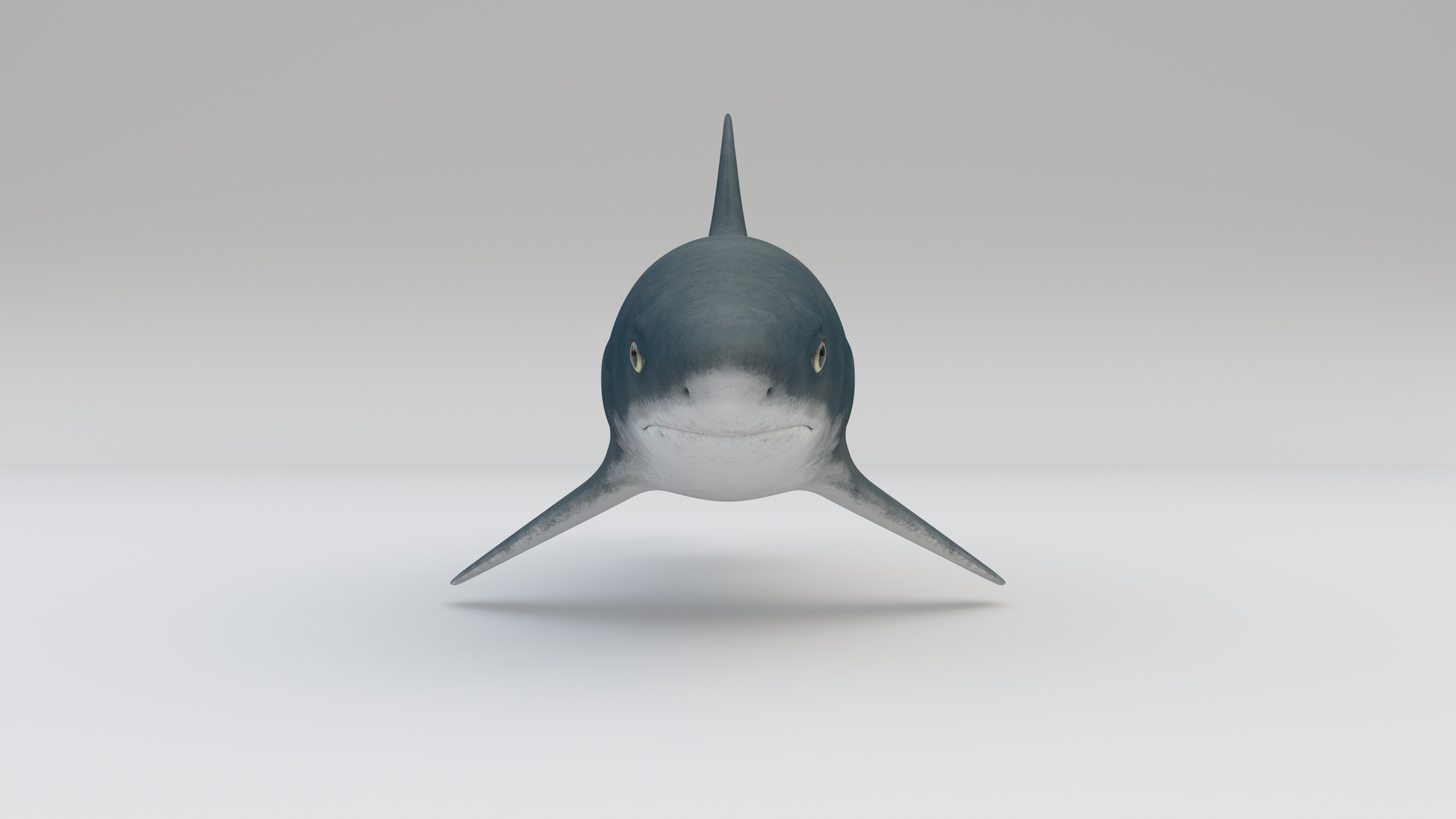 modelo 3d Tiburón ANIMADO - TurboSquid 1986776