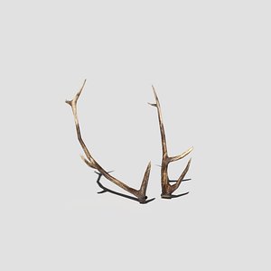 3D Antlers Models - Browse & Download Formats - TurboSquid