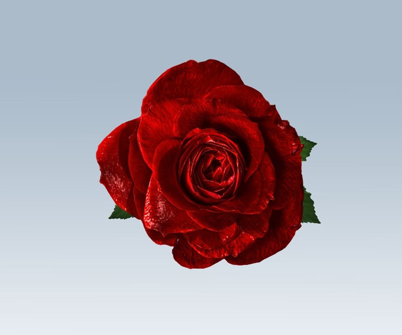 Red rose 3D model - TurboSquid 1355420