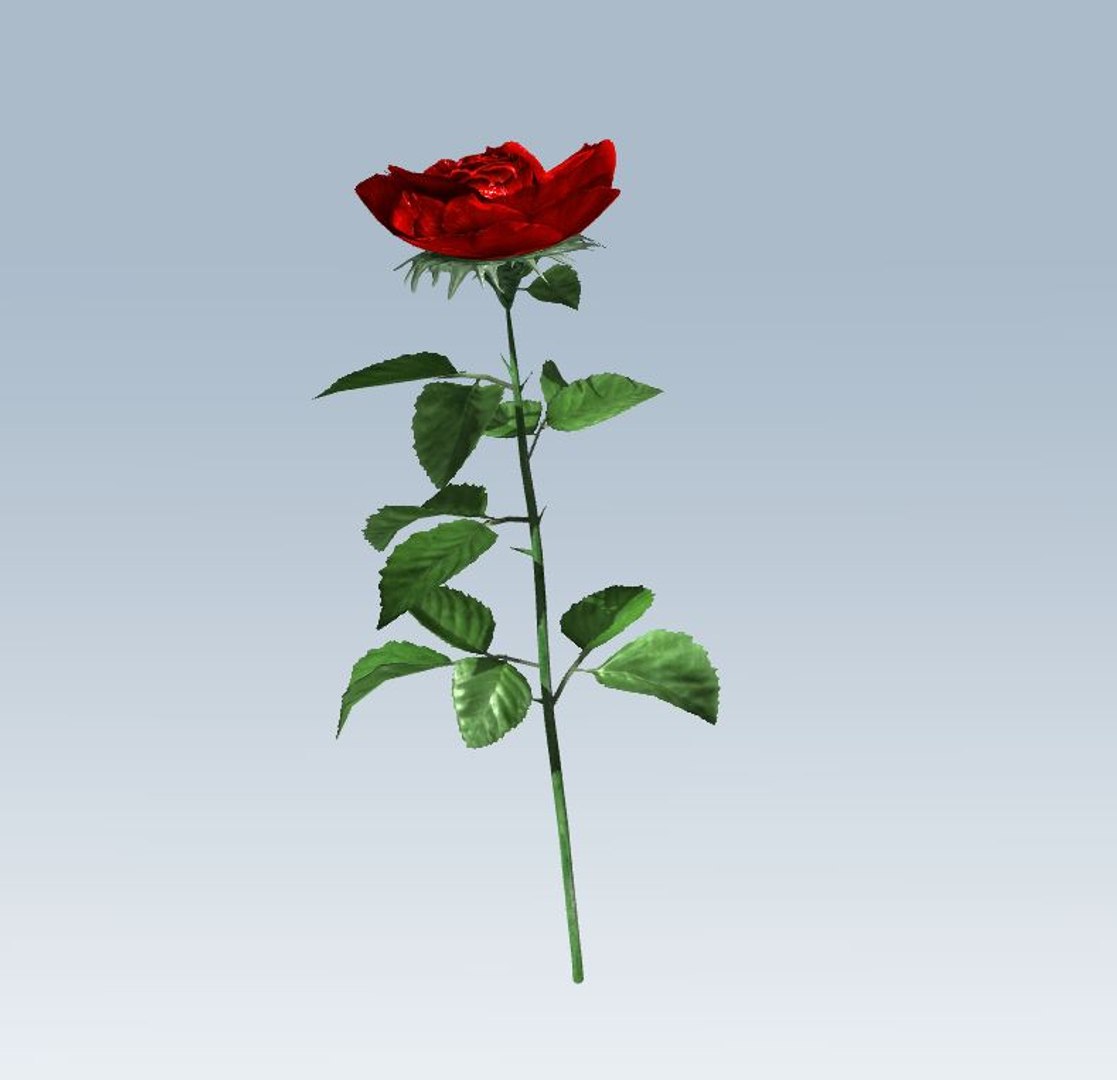 Red rose 3D model - TurboSquid 1355420