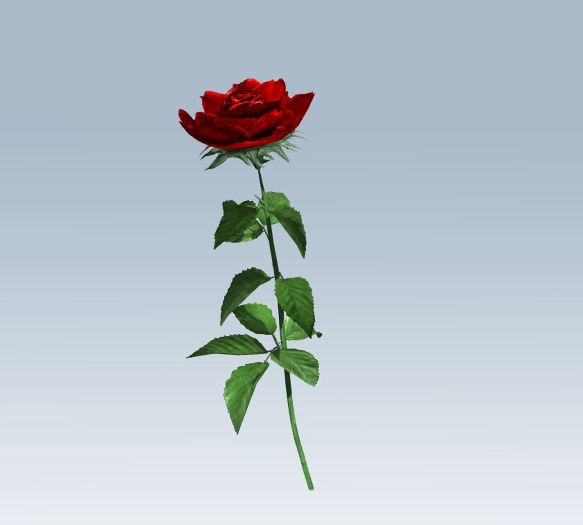 Red rose 3D model - TurboSquid 1355420