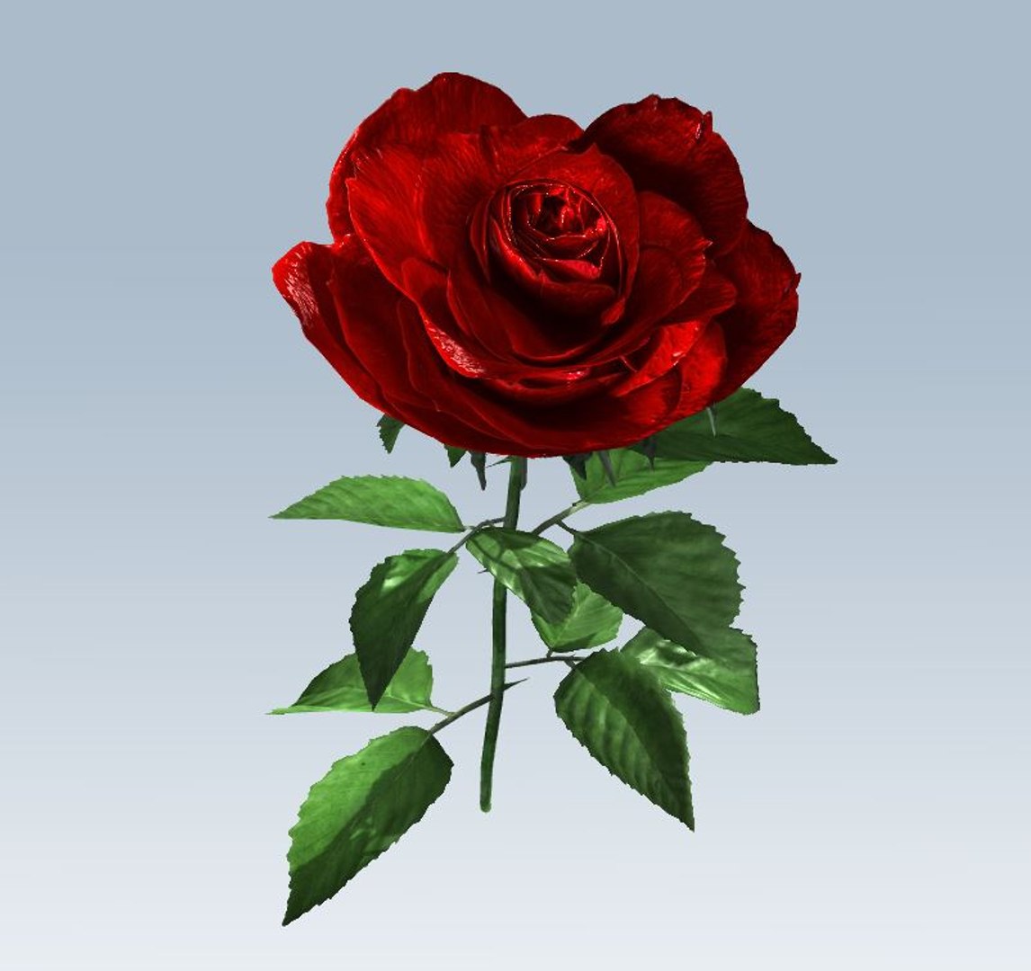 Red rose 3D model - TurboSquid 1355420