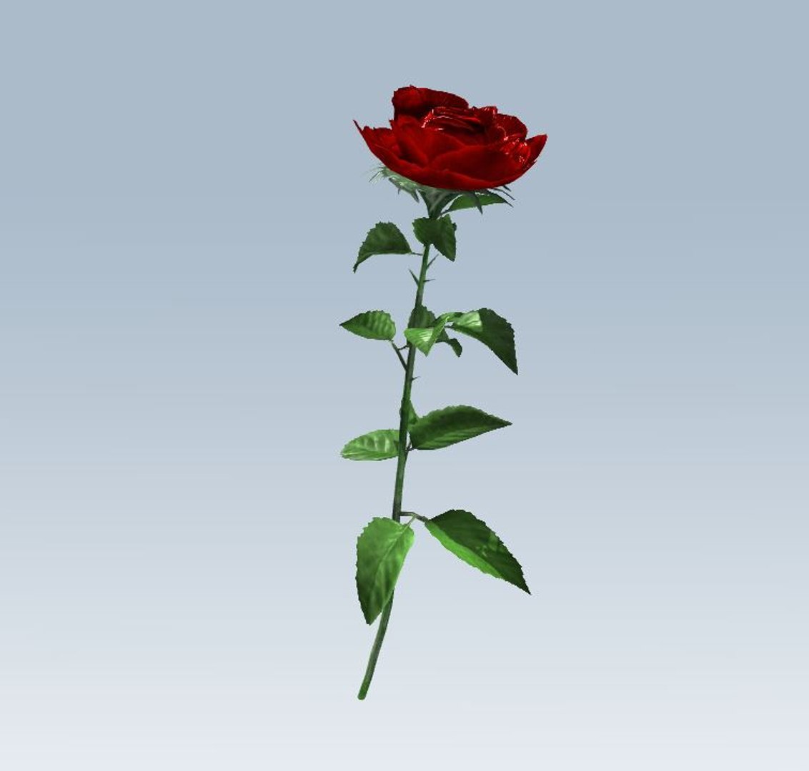 Red rose 3D model - TurboSquid 1355420