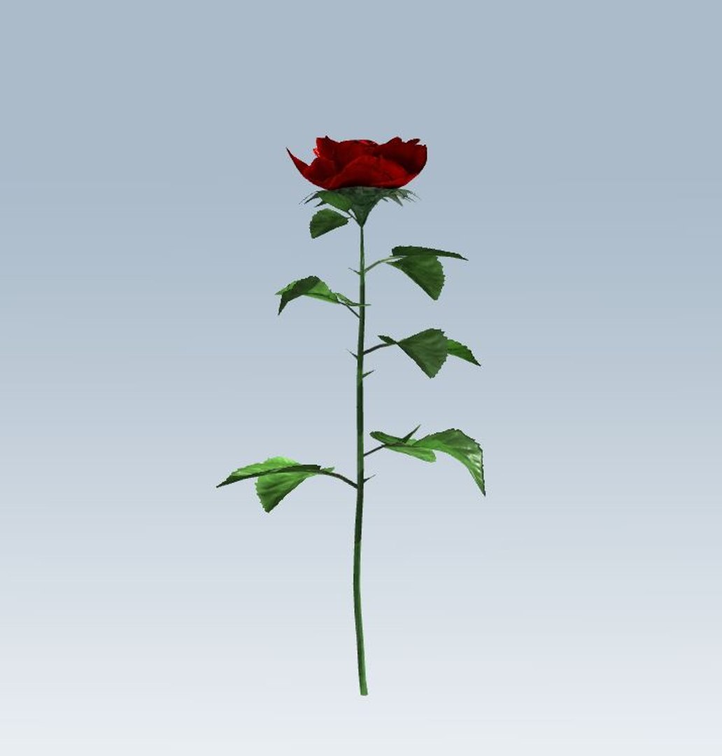 Red rose 3D model - TurboSquid 1355420