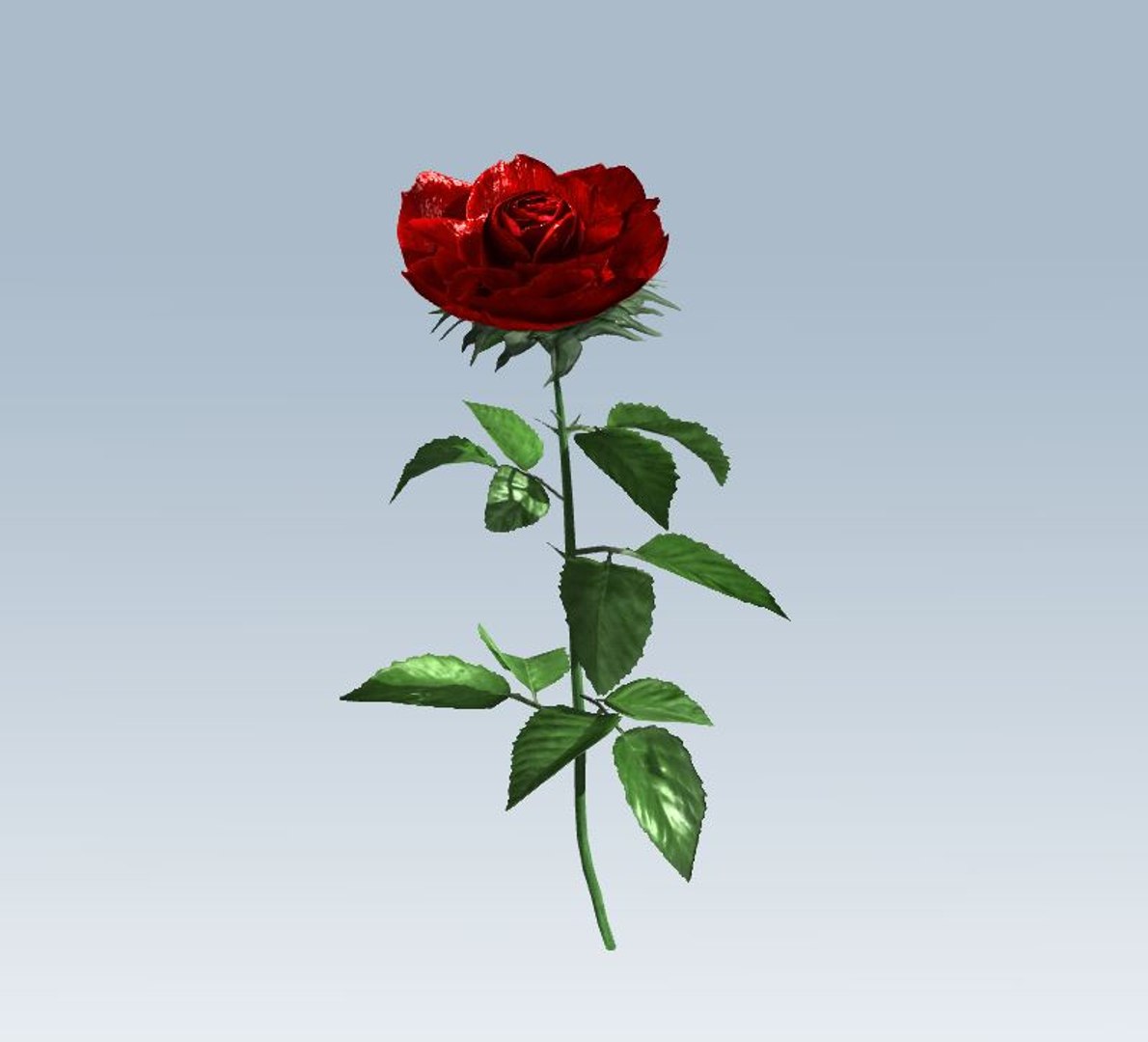 Red rose 3D model - TurboSquid 1355420