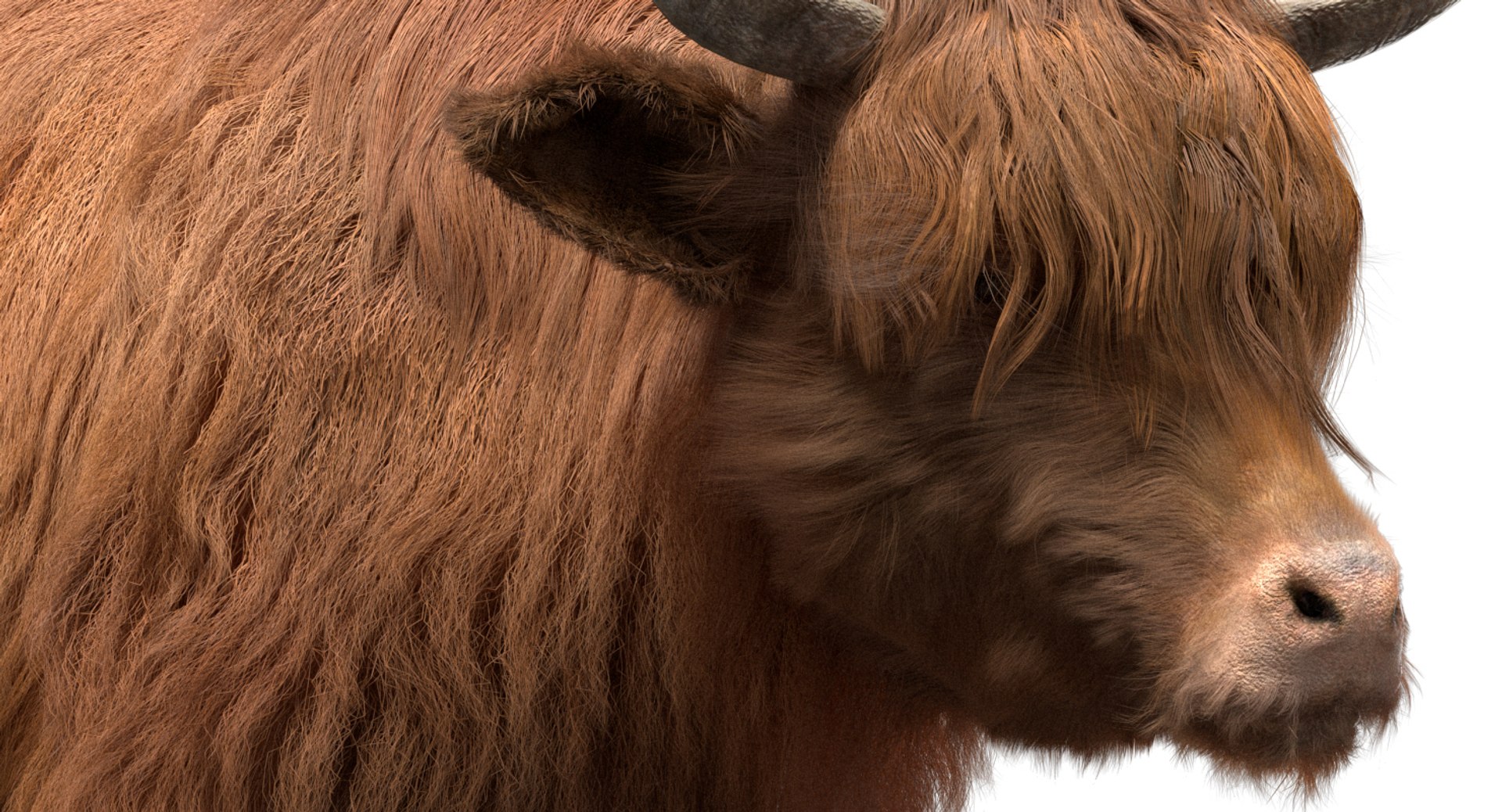 3D Cow Cattle Livestock Model - TurboSquid 1391253