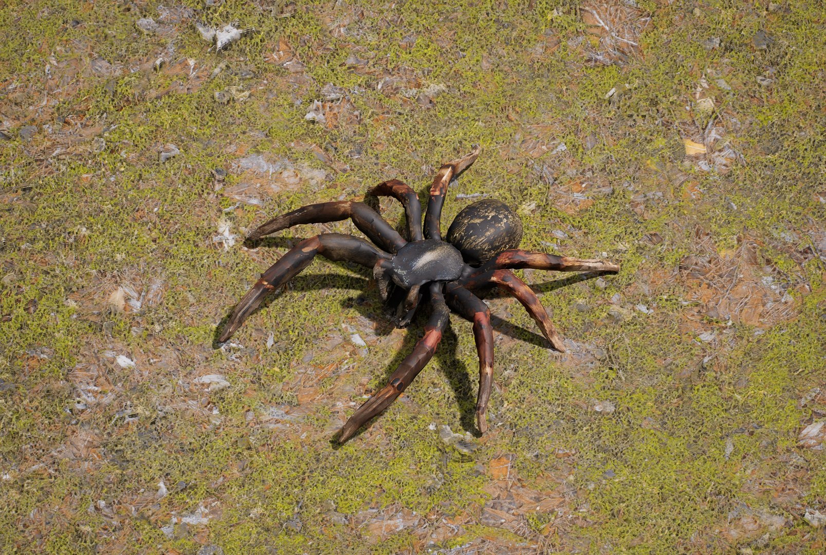 3D Spider Model - TurboSquid 2381335