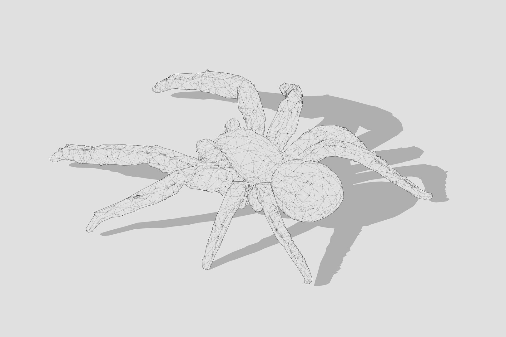 3D Spider Model - TurboSquid 2381335