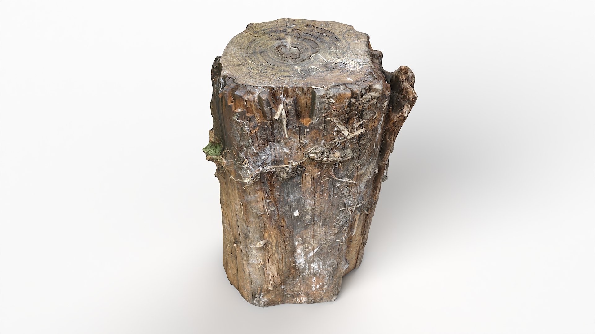 Wood BranchStump Collection 07 3D Model - TurboSquid 2135622