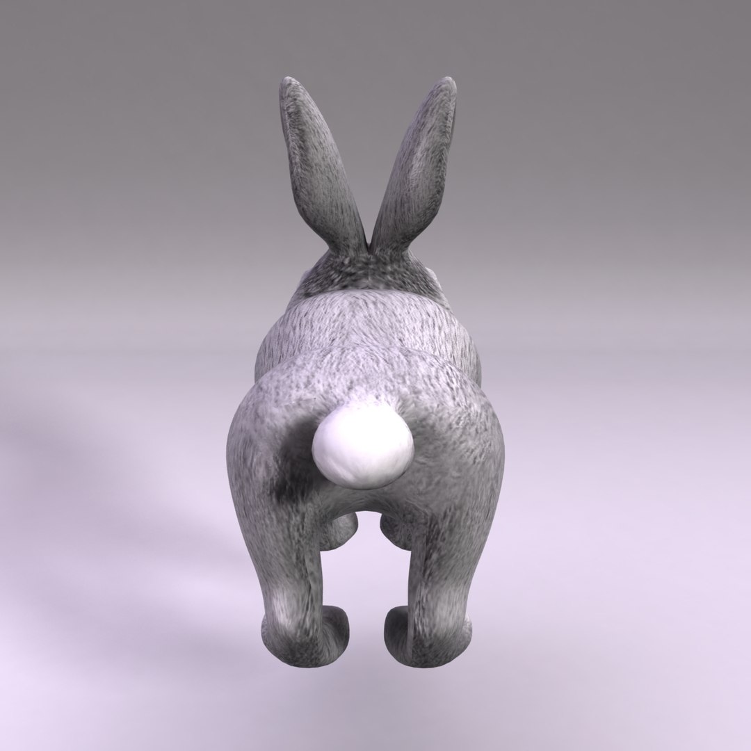 3d Model Of Cartoon Rabbit